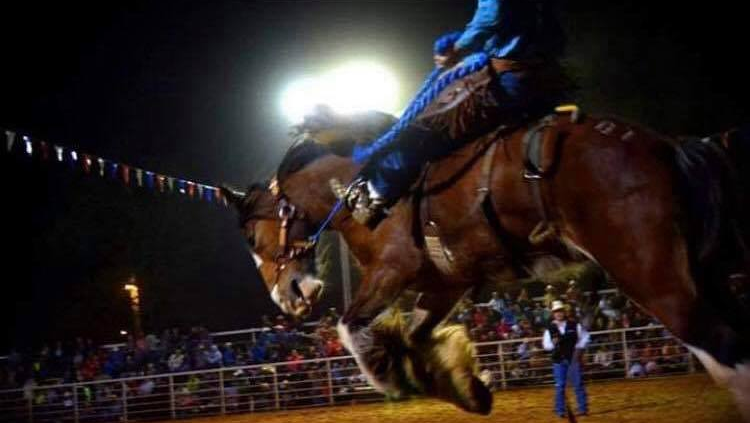 Rodeo | Red White & Blue Festival - Mountain Home Arkansas