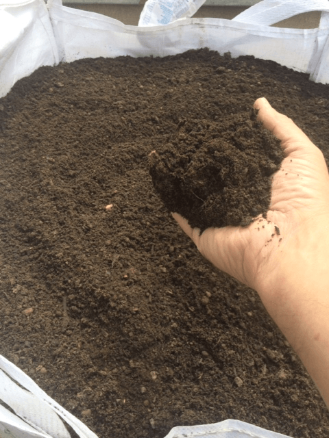 Cambury Turf: expert turfing in Cambridge, Norfolk and Suffolk