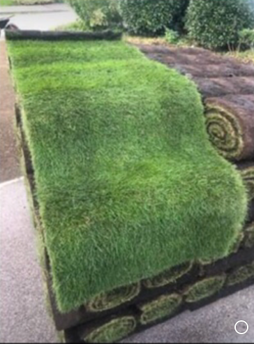 Turf laying in Cambridgeshire, Suffolk and Norfolk