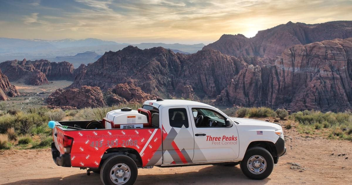 Rodents, Snakes | Southern Utah | Three Peaks Pest Control