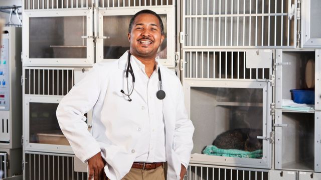 veterinary work environment