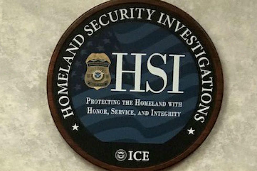 ICE HSI - Homeland Security Investigations