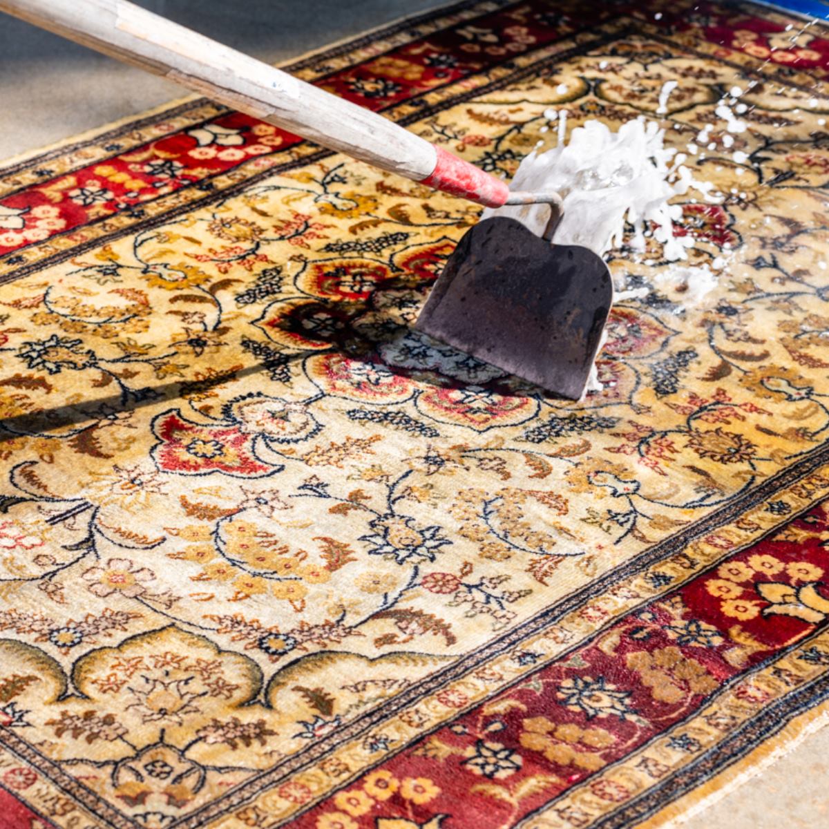 Carpet Cleaning Service | Encinitas, CA | Oriental Rug Pros