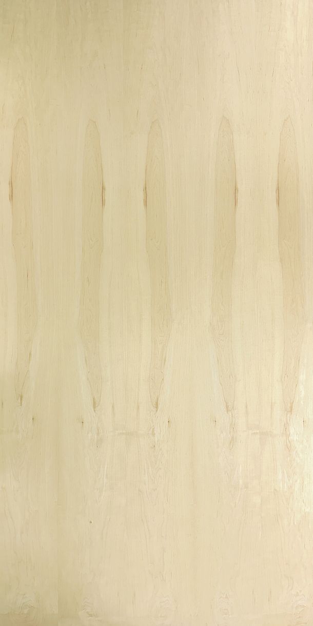 Maple Veneered Panels: Plywood & MDF