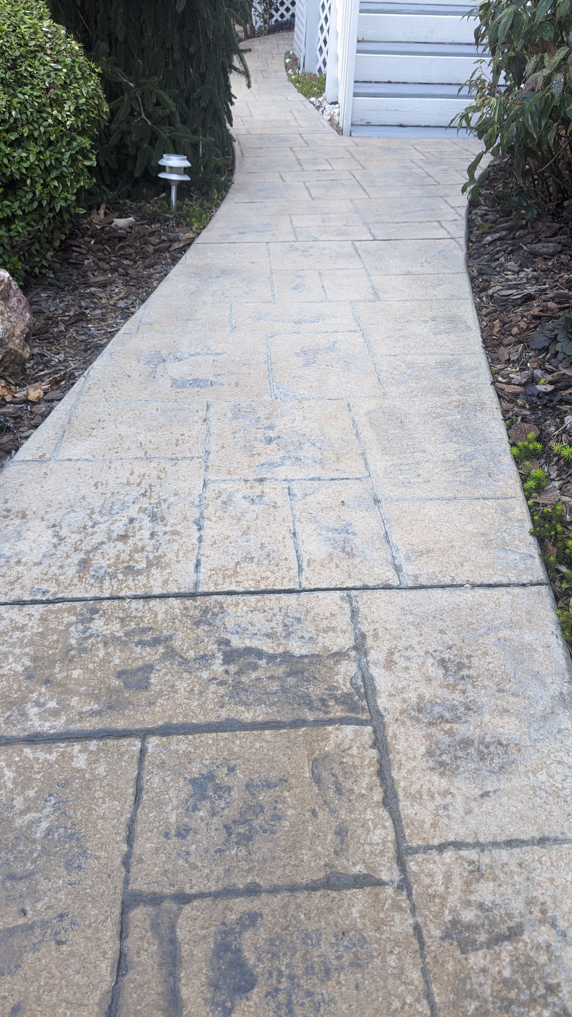 Stained Concrete Gallery | Greenville, SC | ZDC