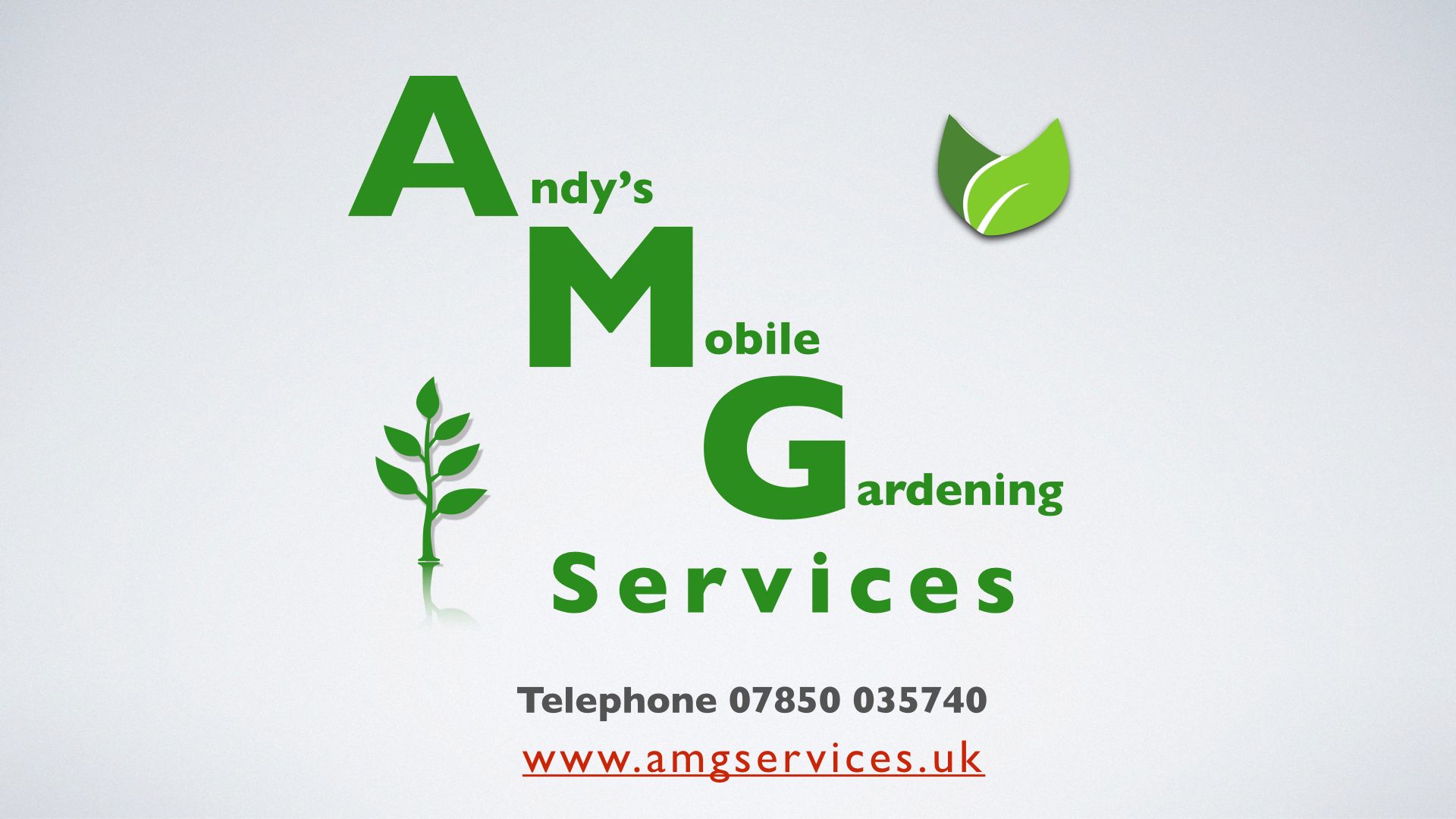 AMG Services