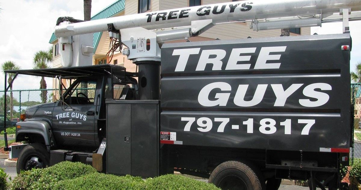 Tree Maintenance - Tree Guys of St Augustine