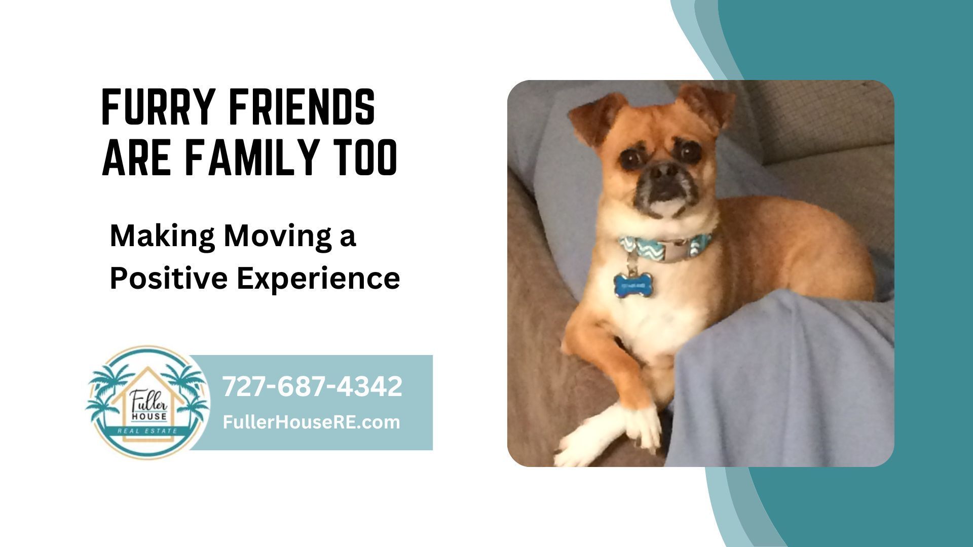 Furry Friends are Family Too: Making Moving a Positive Experience