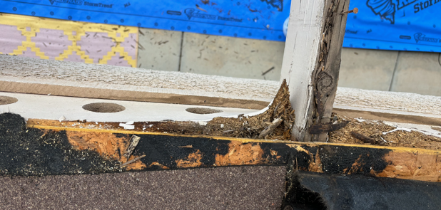 Understanding Roof Failures and How to Prevent Them