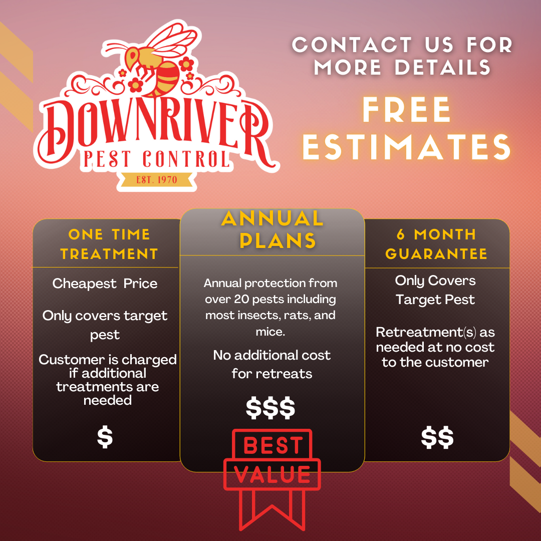 Exterminator | Romulus, Michigan | Down River Pest Control