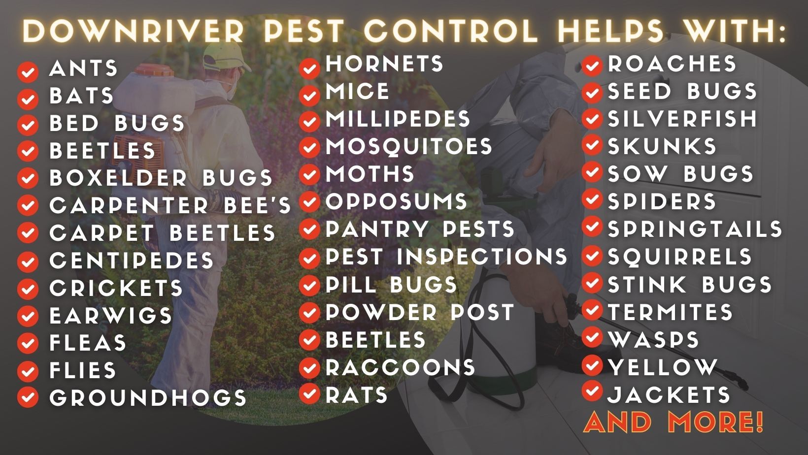 Exterminator | Brownstown, MI | Downriver Pest Control