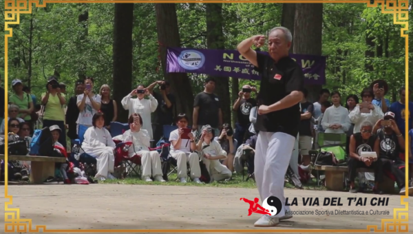 La spinta con le mani: Il professor Li Deyin