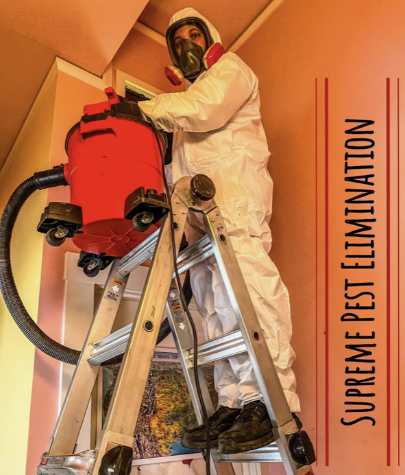 Top Rated Attic Clean-Up Service in Fairfield, California