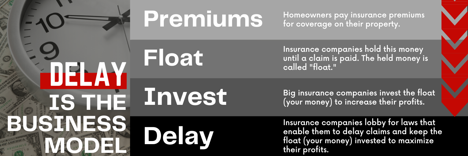 Big Insurance: The Big Business of Long Delays