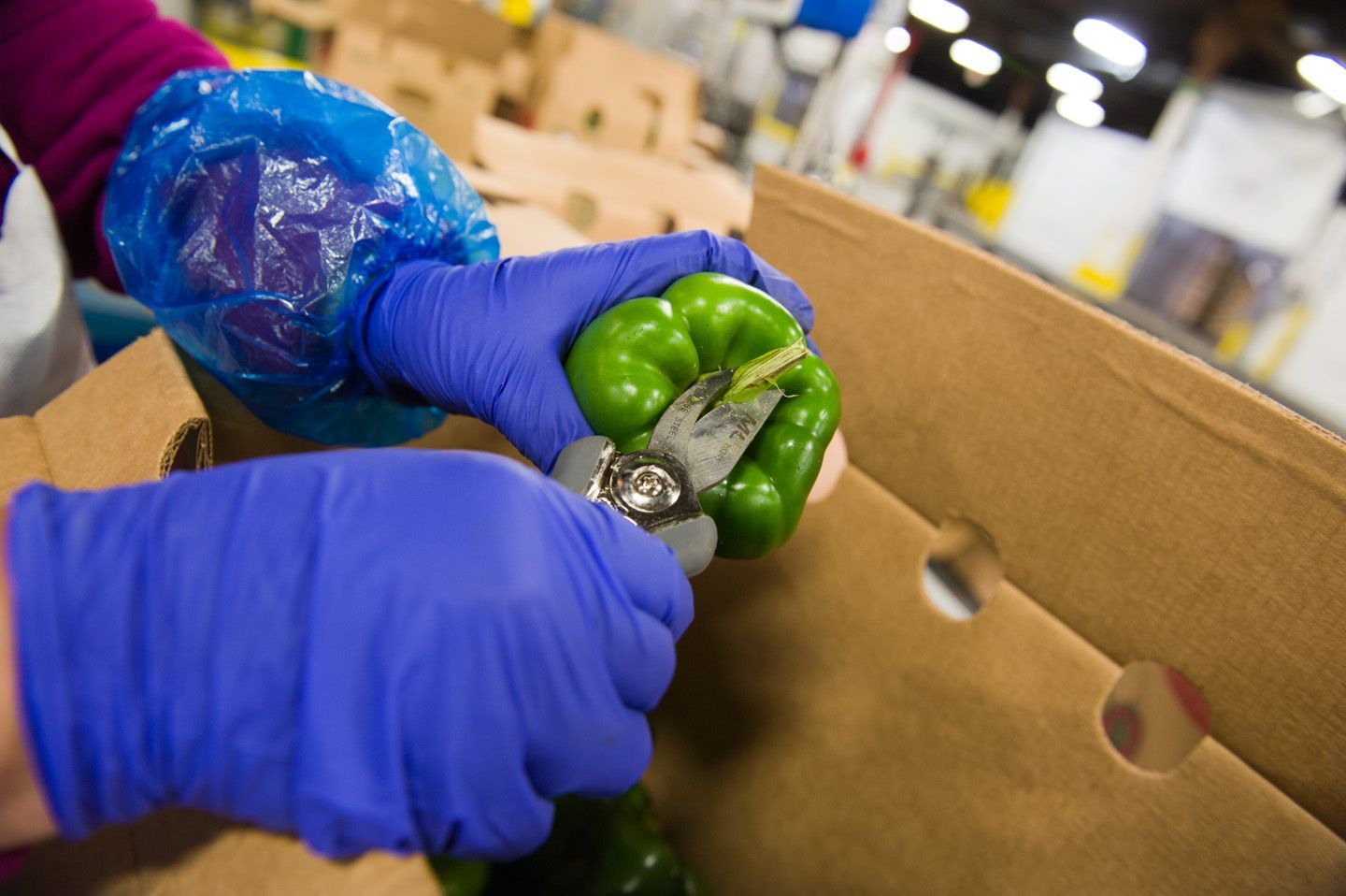 R.S. Hanline & Company Our Story: Over Three Decades of Excellence in ...