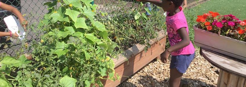 Gardening, Montessori Style