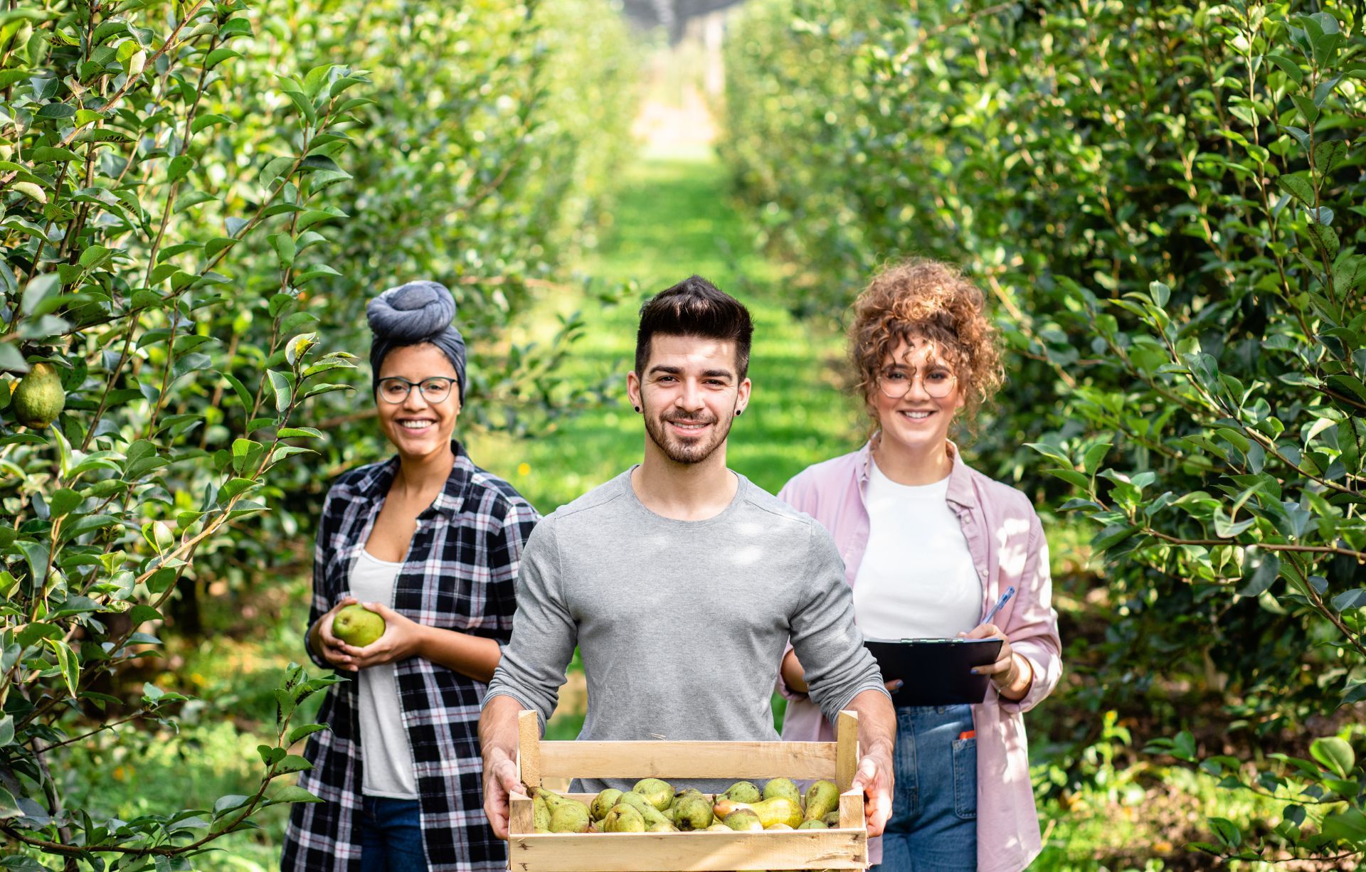 Orchard Fruit Grower Insurance (Cost & Coverage)