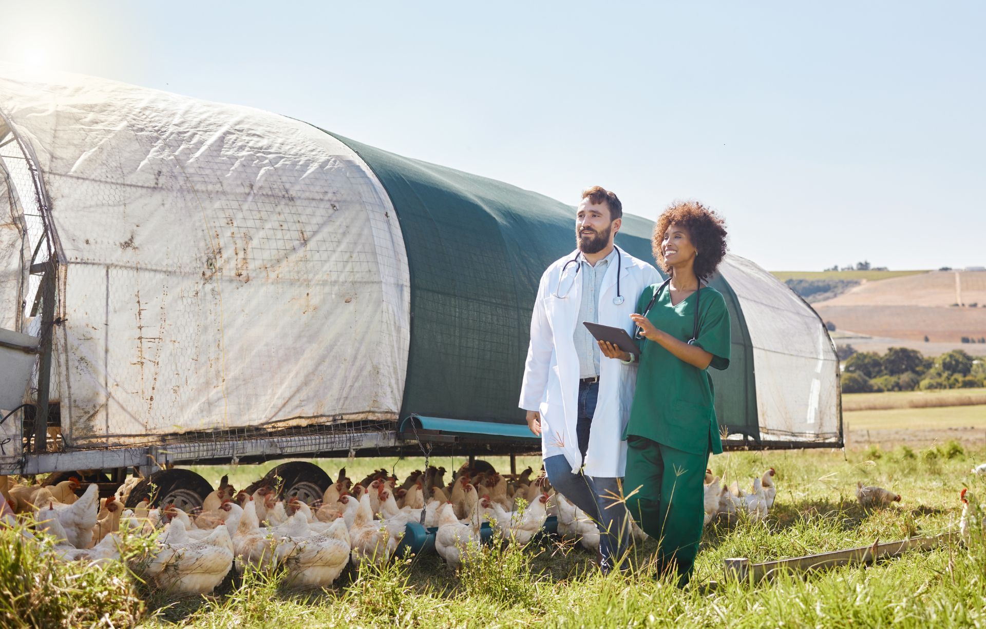 Texas Poultry Farm Insurance (Free Quote & Coverage Info)