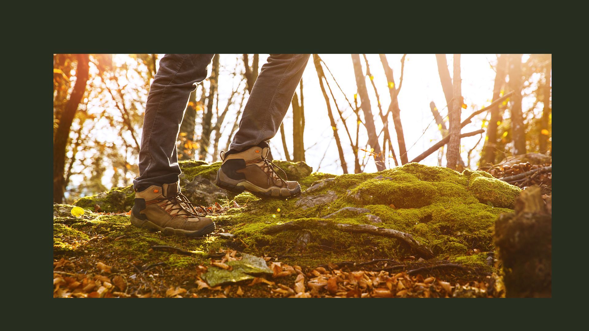 10 Reasons Why Stories Matter For Learning