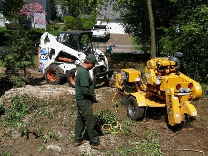 All Around Landscape & Tree Service | Tree Service in Fairport, NY