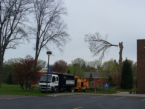 All Around Landscape & Tree Service | Tree Service in Fairport, NY