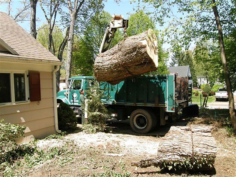 All Around Landscape & Tree Service | Tree Service in Fairport, NY
