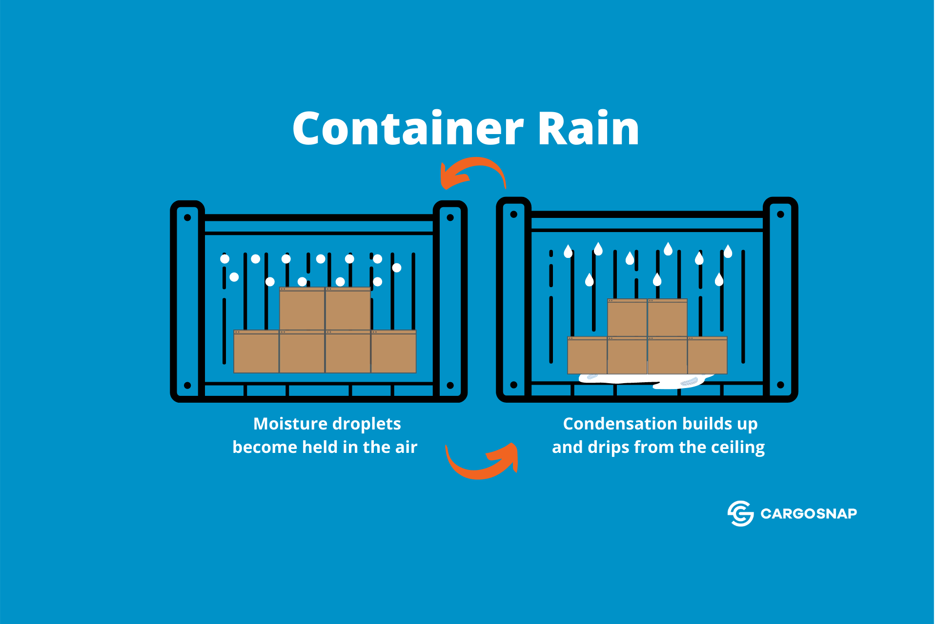 Cargo damage report: Raining inside my container | Cargosnap