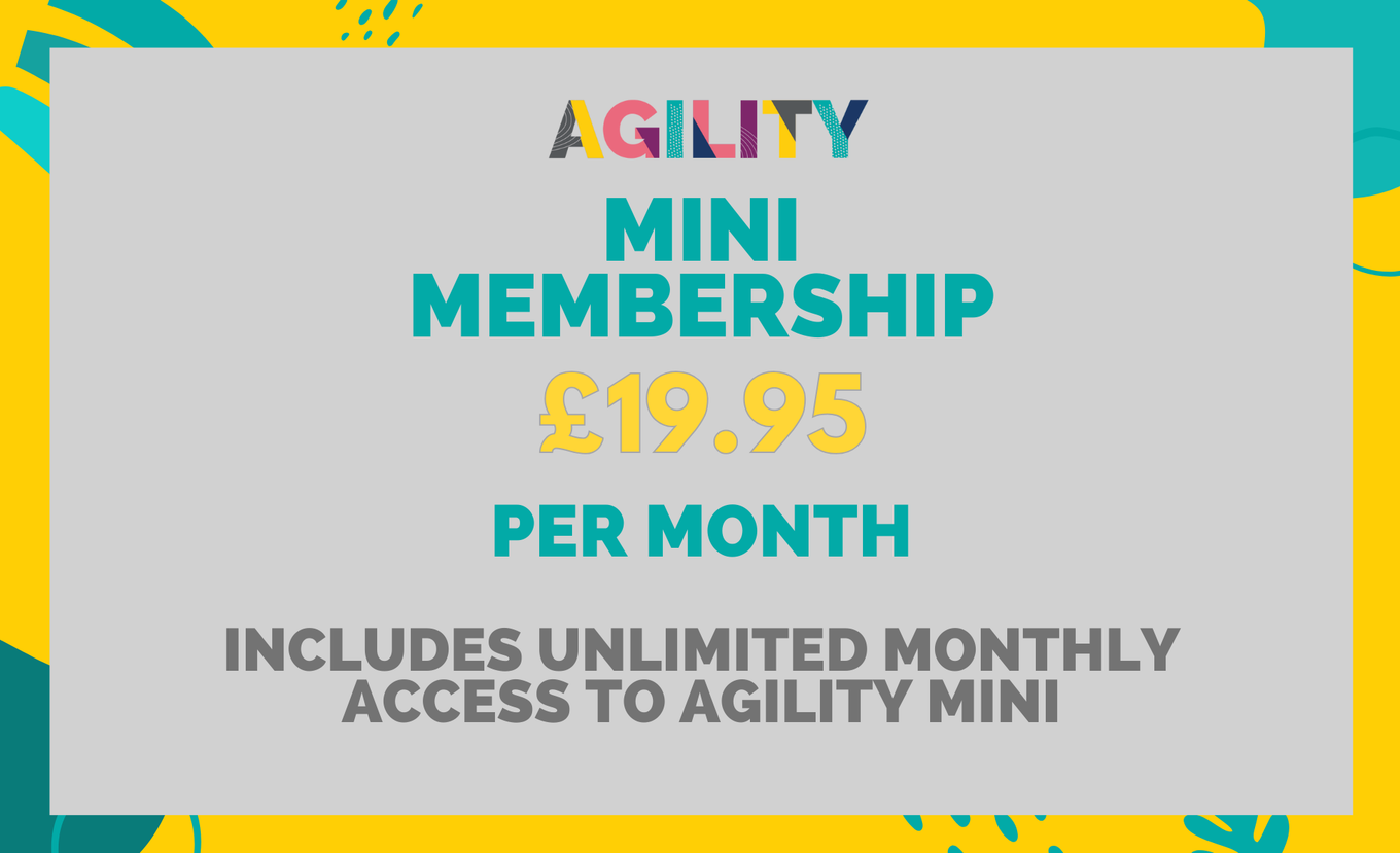 Agility | Indoor Fitness Park | Ninja Warrior | Parkour