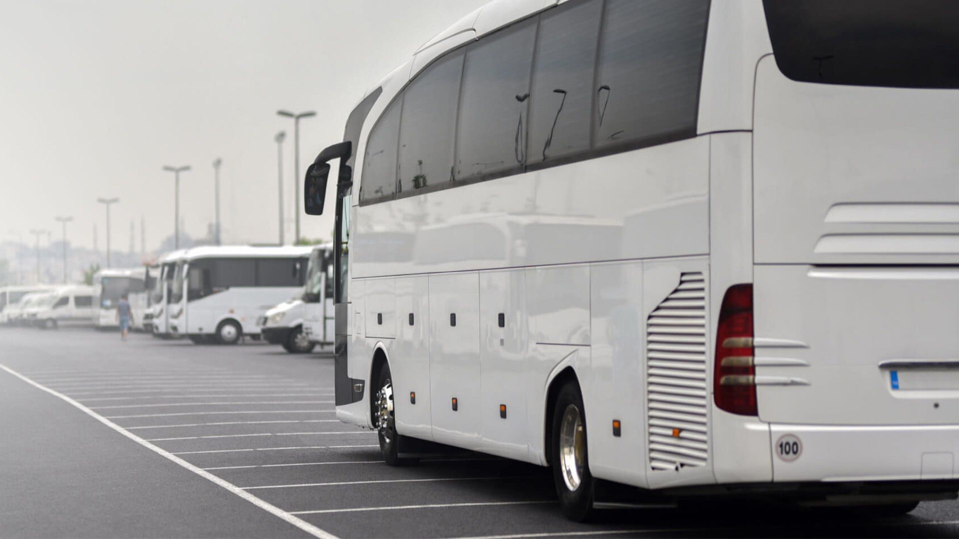 What to Look for in the Best Bus Charters Queensland
