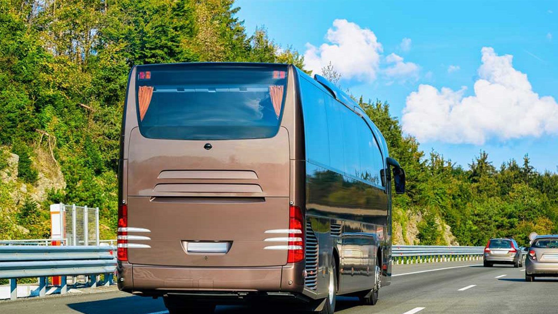 Exciting Must Do Summer Bus Tours for All in Queensland