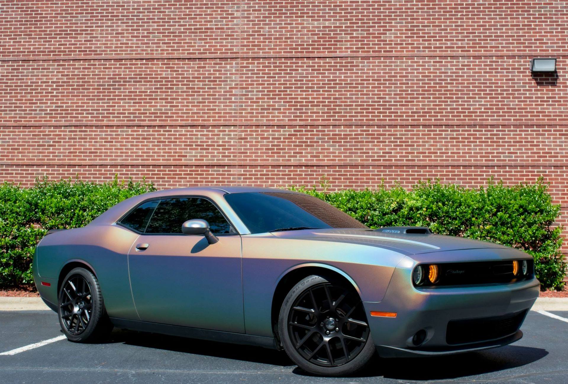 Vehicle & Commercial Wraps, Graphics, PPF | All Pro Wraps and Graphics