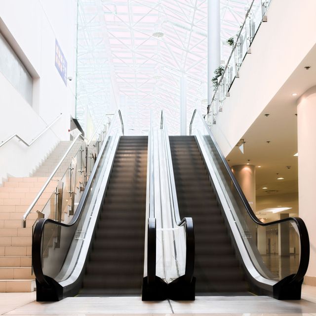 Escalator Ordinary Escalator At ₹ 2050000/piece | Hydraulic