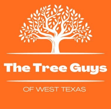 Contact The Tree Guys of WTX | San Angelo, Grape Creek, TX