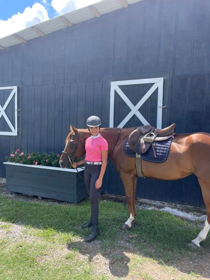 Horseback Riding Lessons | Horseback Lessons For All Riding Levels