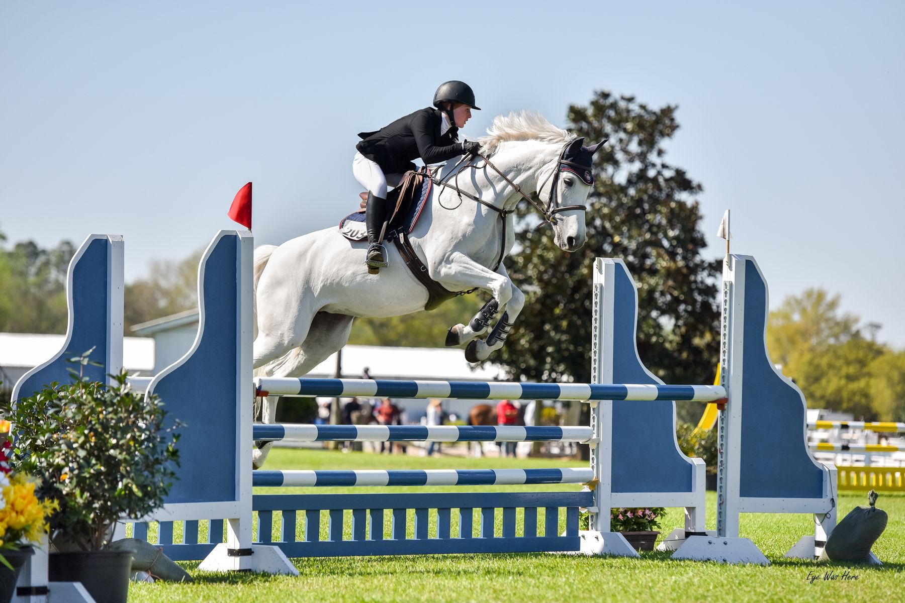 Sommerview Farms | Hunter Jumper Riding Lessons