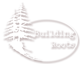 Building Roots Construction | Kitchen, Bathroom, General Contracting ...