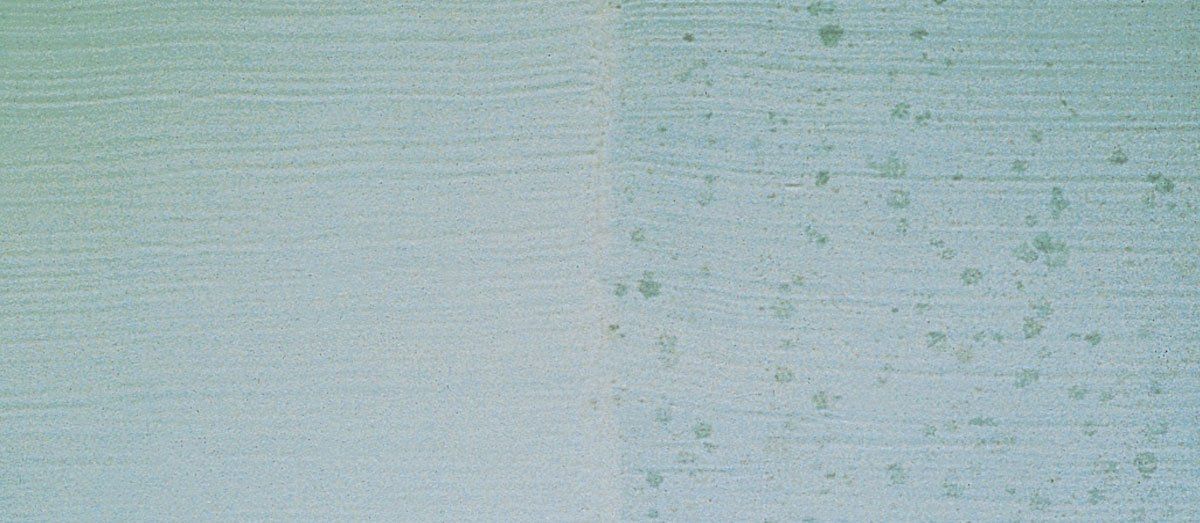 HOW TO PREVENT AND REMOVE MILDEW