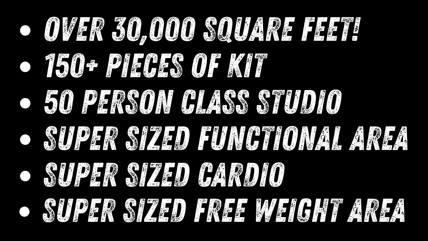 Fitness training | Team Rees Gym