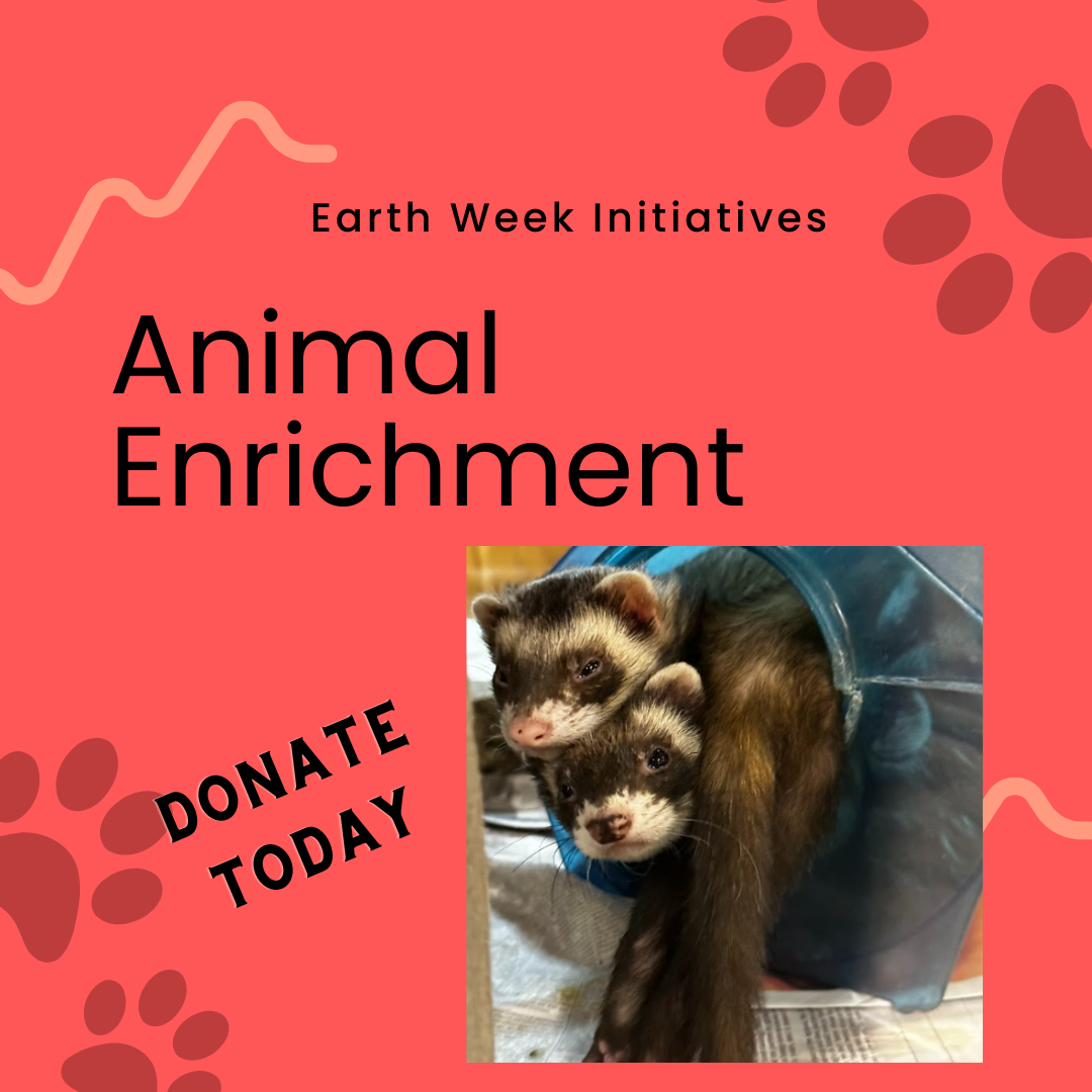 Earth Week Initiatives