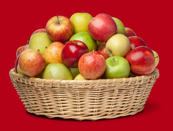 The Cornish Fair – A Family-Friendly, Country, Agricultural Fair