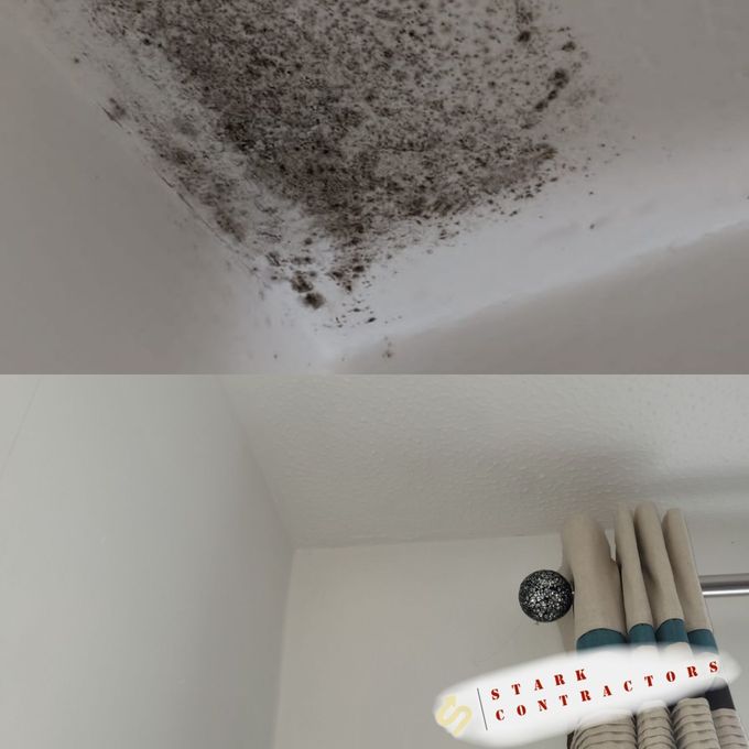 Property Maintenance - Stark Contractors