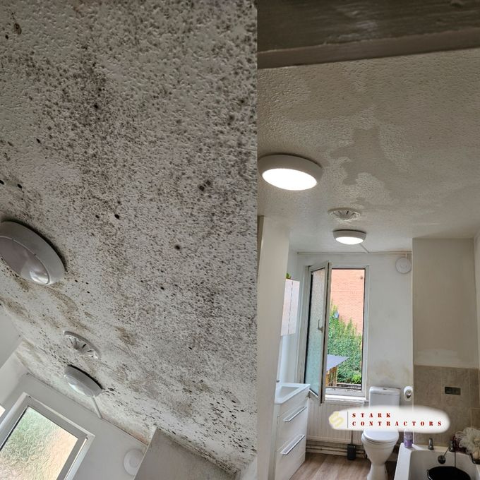 Property Maintenance - Stark Contractors