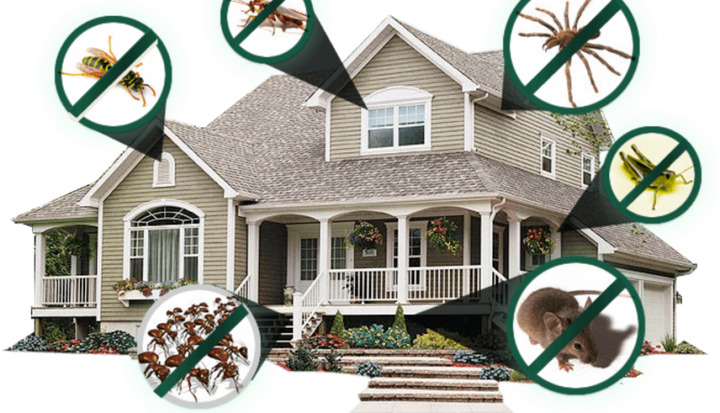 Pest Control Bay Shore, West Islip, Brentwood, Dix Hills, Deer Park