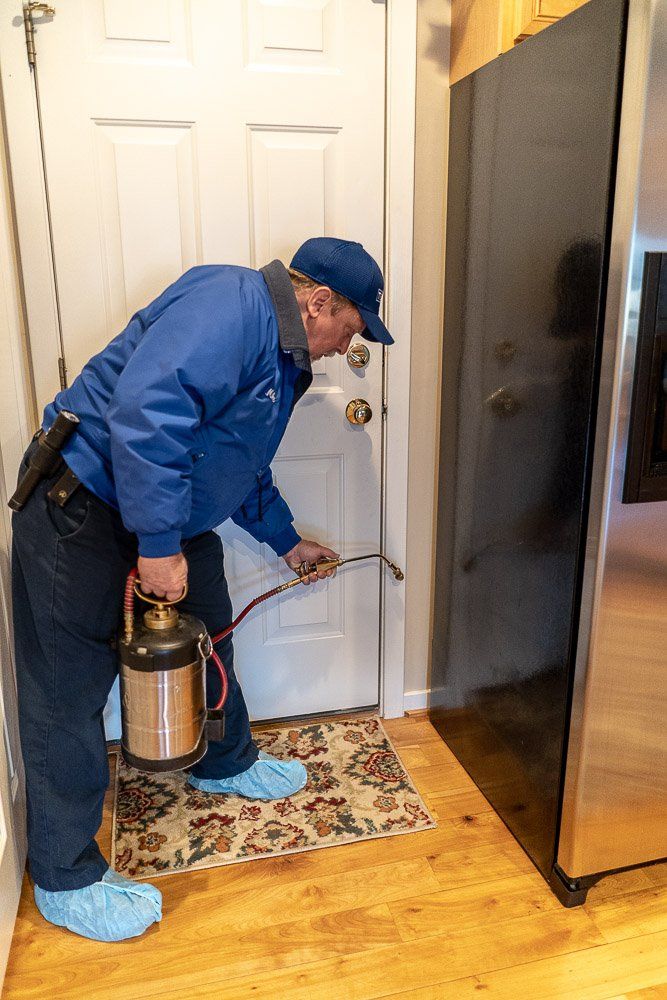 3 Things to Know Before Calling an Exterminator