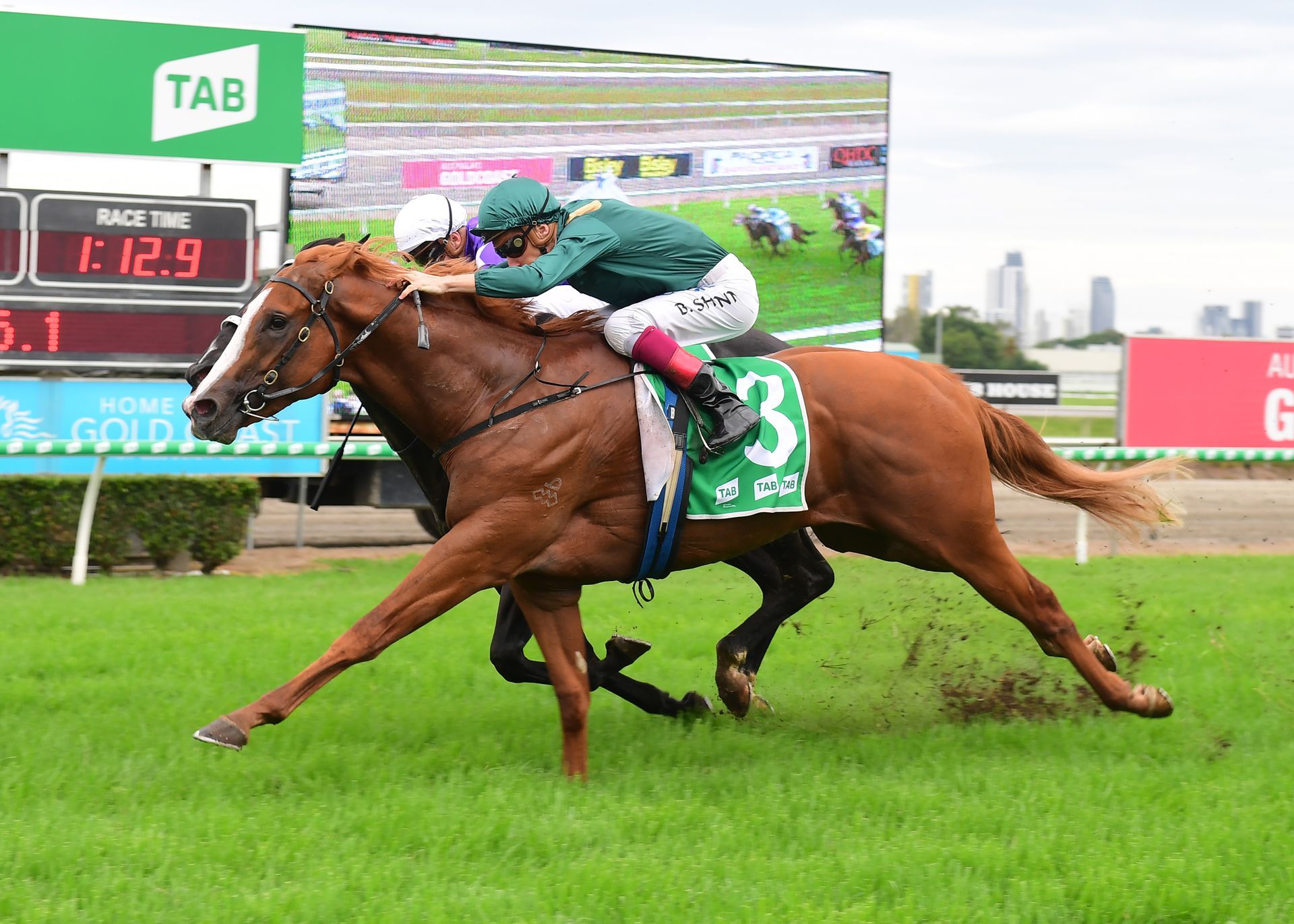 Qld Stallion Pedigrees - Thoroughbred Breeders Queensland Association