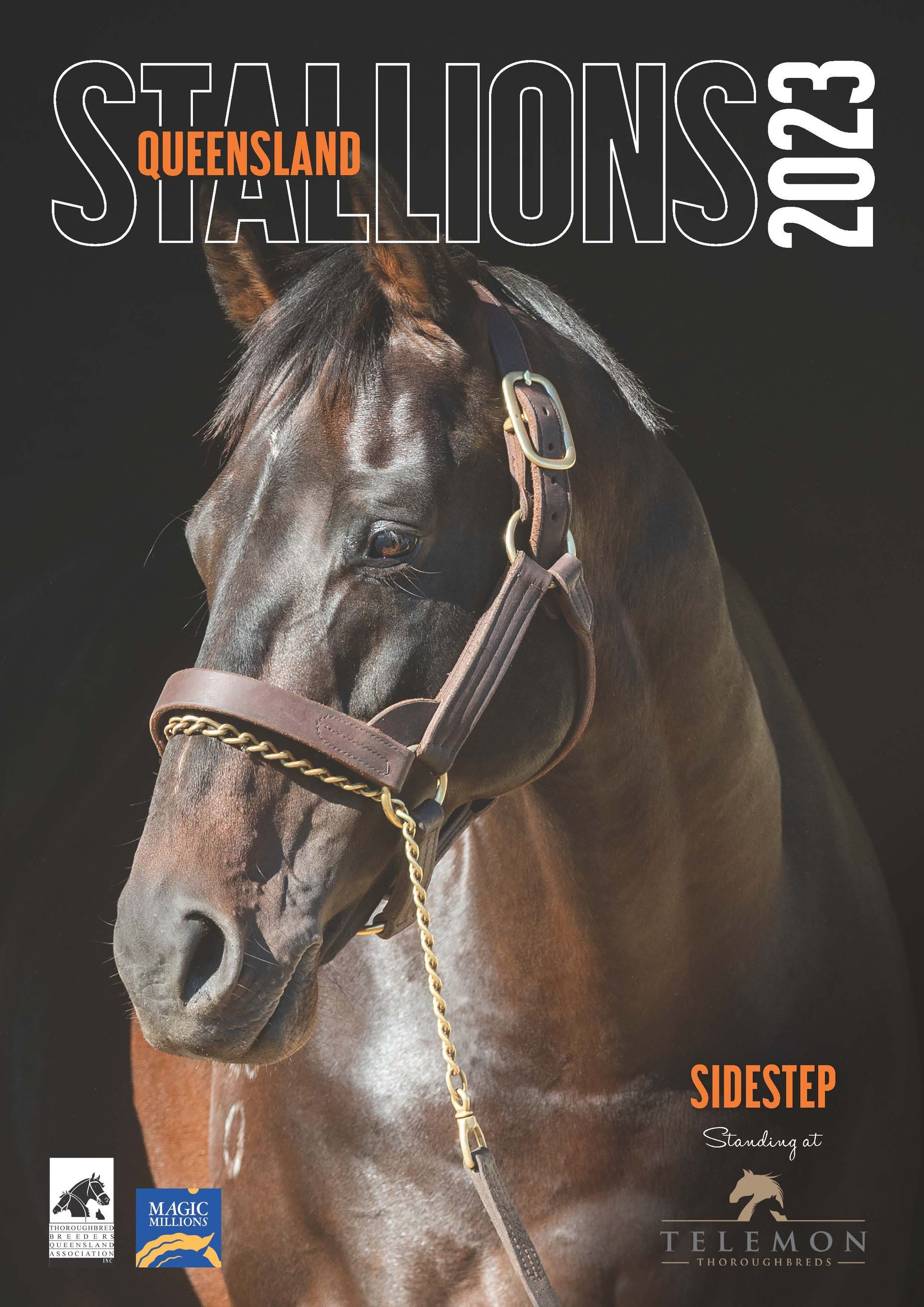 2023 Queensland Stallions Directory