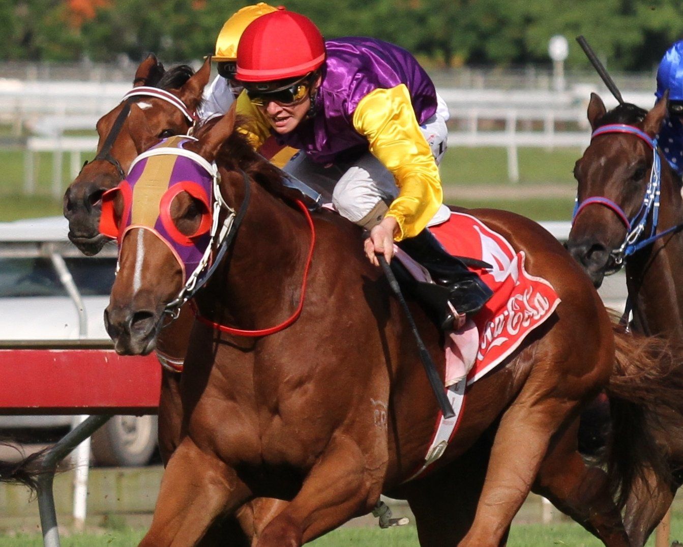 Top QTIS Performers for November