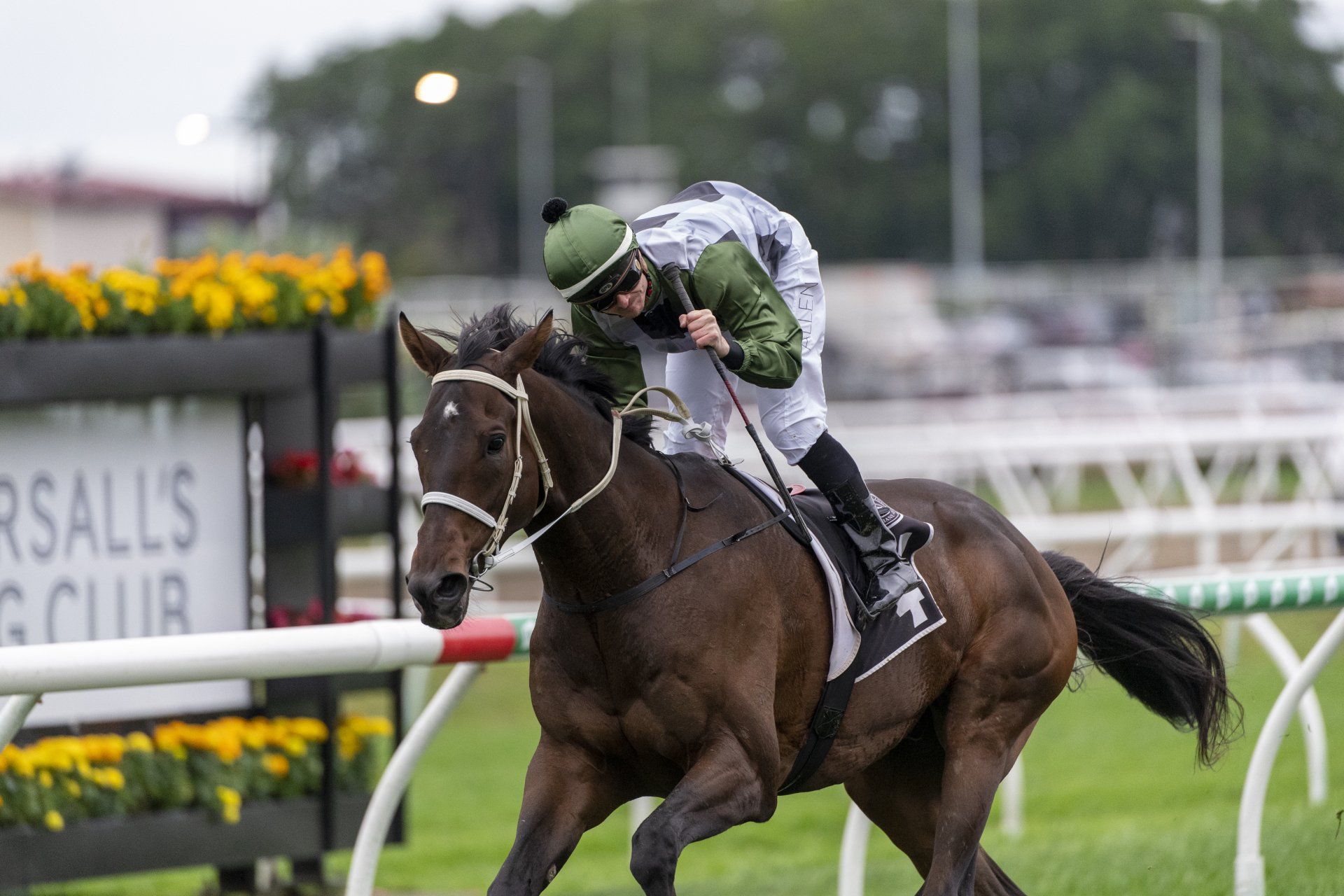 Qld Summer Racing Carnival has Arrived