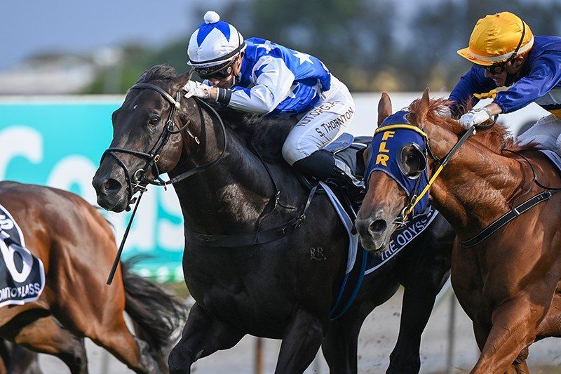 Top QTIS Performers for September