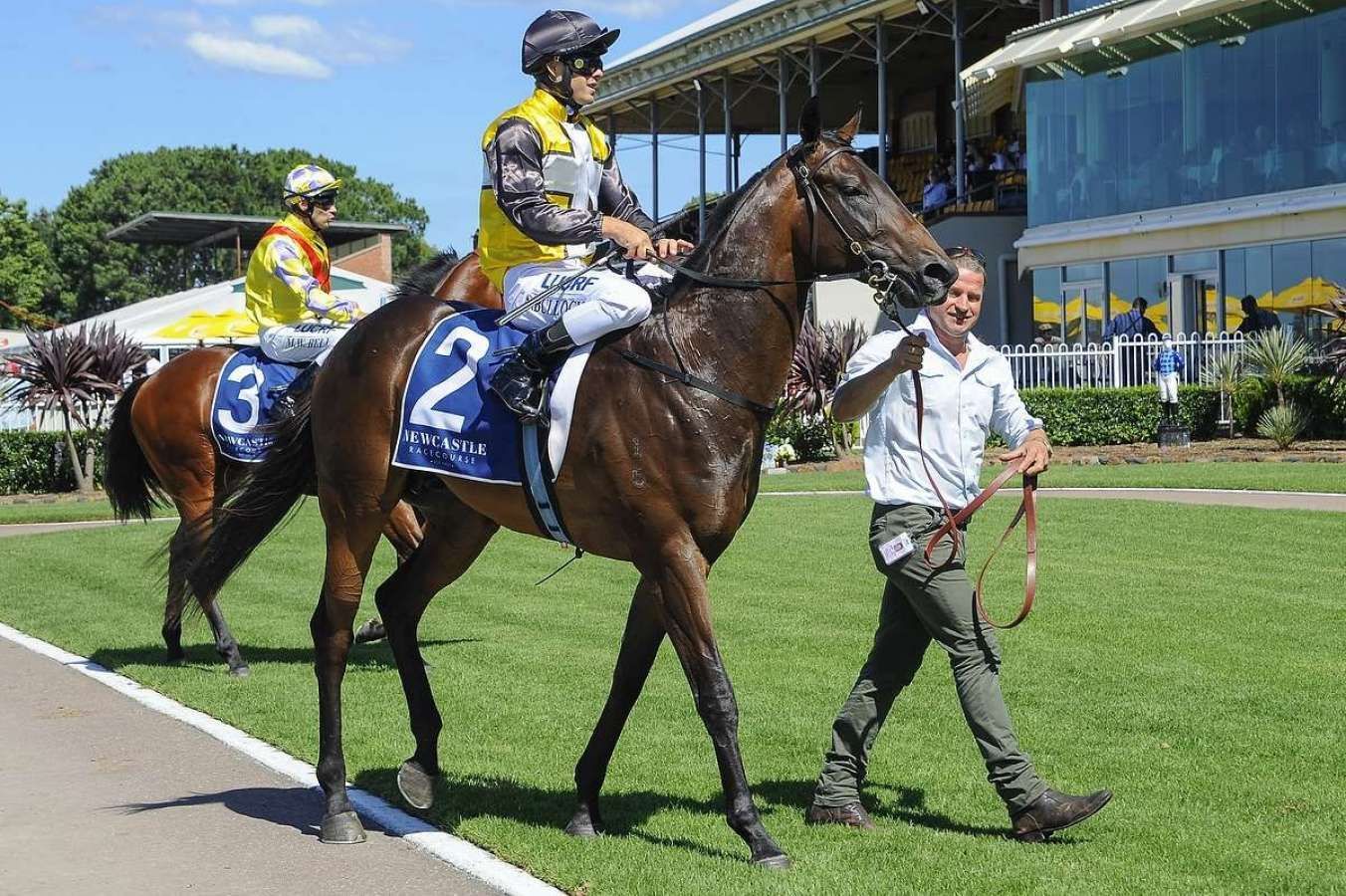 Why Breed Queensland? QTIS is FREE!